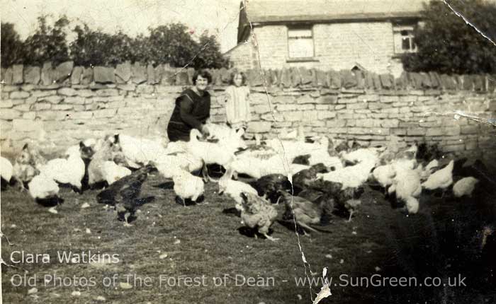 Ivy Dorothy Batten (nee Watkins) 1902 - 1986 - page 2