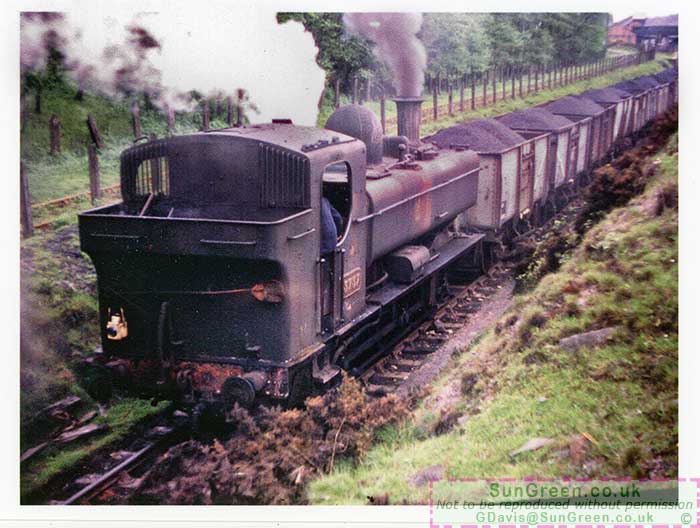A goods train hauling wagons of coal in the Forest of Dean